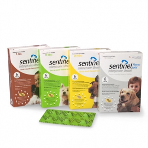 Sentinel Heartworm Medicine for dogs review