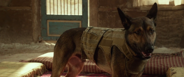 Max, 2015 movie review