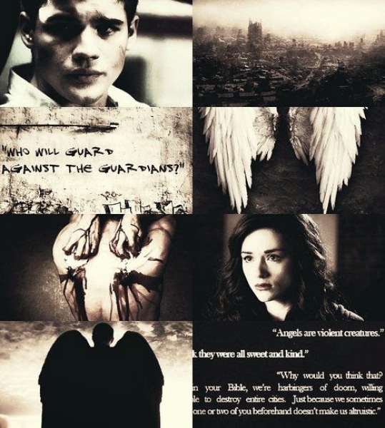 Angelfall, novel by Susan Ee (Penryn and the End of Days #1) review