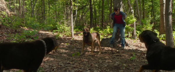 Max, 2015 movie review