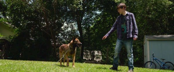 Max, 2015 movie review