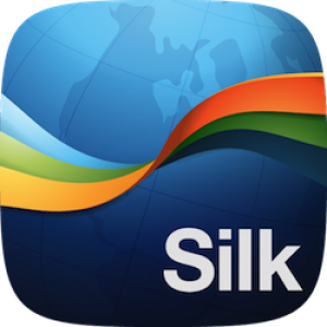 Amazon Silk Browser for Kindle Fire review